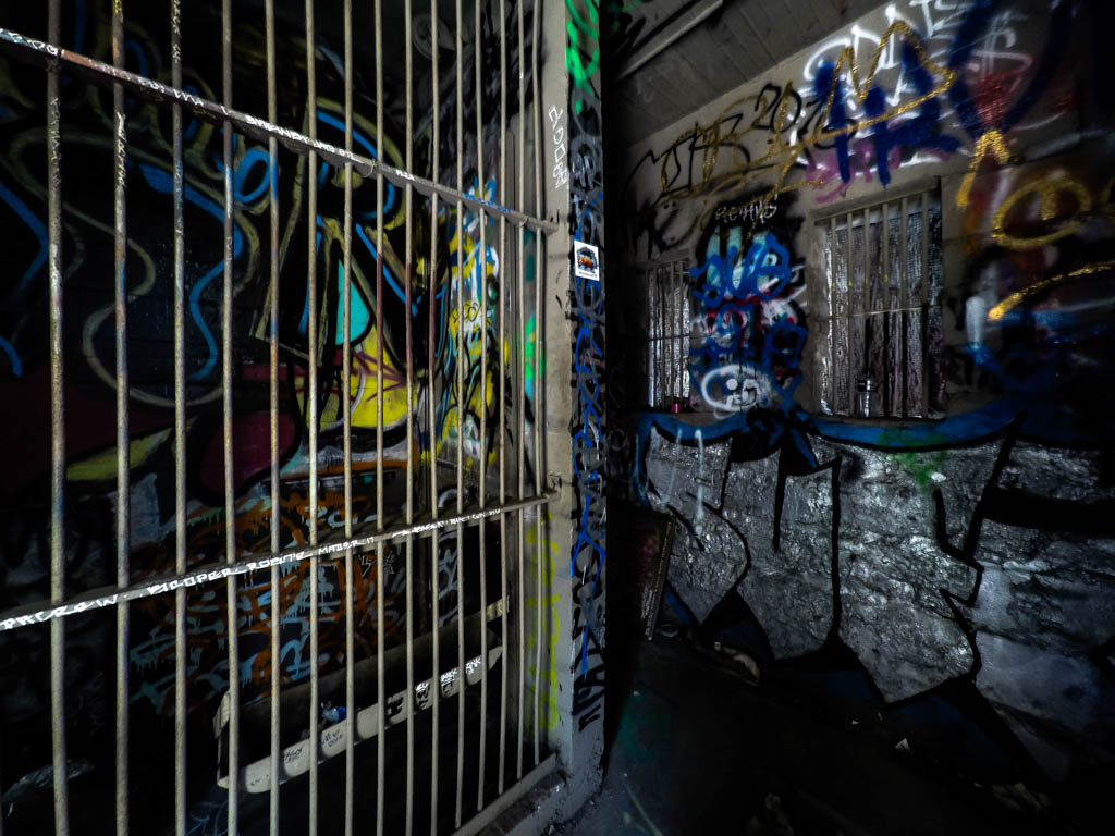 The 6 Most Haunted Places You Can Find Animal Ghosts - Amy's Crypt