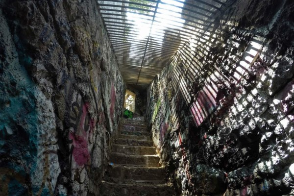 The 6 Most Haunted Places You Can Find Animal Ghosts - Amy's Crypt