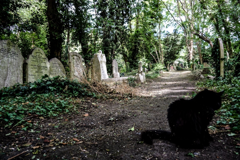 Haunted Highgate Cemetery: Vampires and Ghosts in London