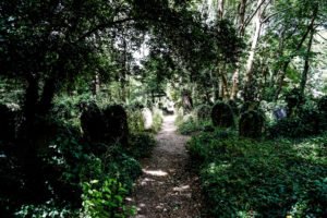 Haunted Highgate Cemetery: Vampires and Ghosts in London