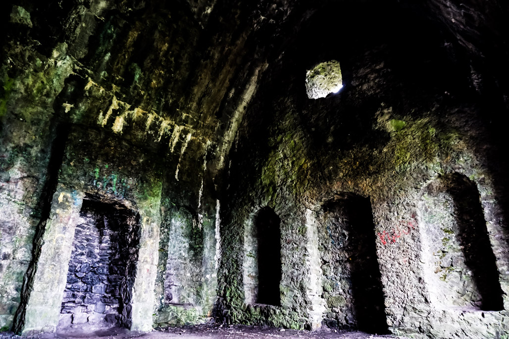 The 6 Most Haunted Places You Can Find Animal Ghosts - Amy's Crypt