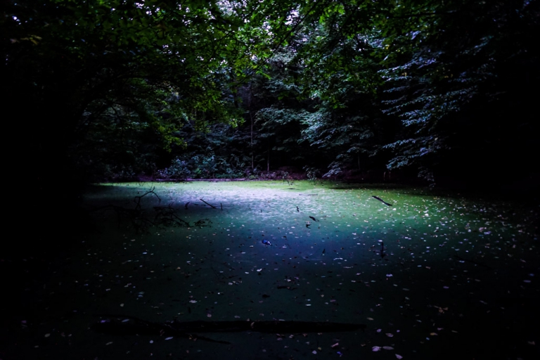 The Haunted and Mysterious Witches Pond of Bucharest, Romania - Amy's Crypt