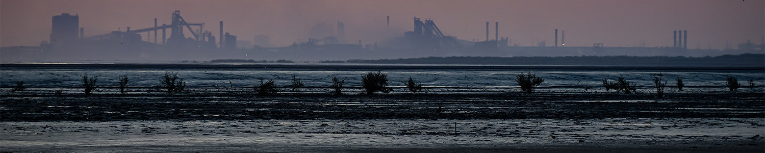 Haunted Places in Surat - Amy's Crypt