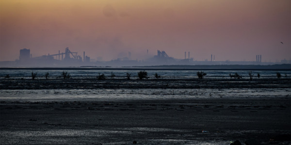 Haunted Places in Surat - Amy's Crypt