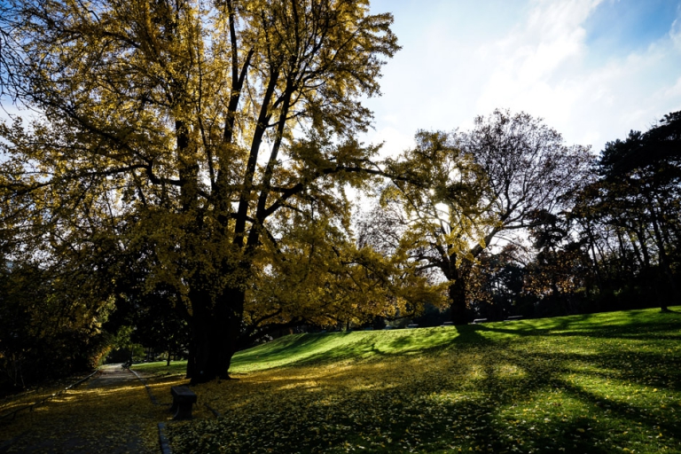 The 8 Most Haunted Places in Paris, France - Amy's Crypt