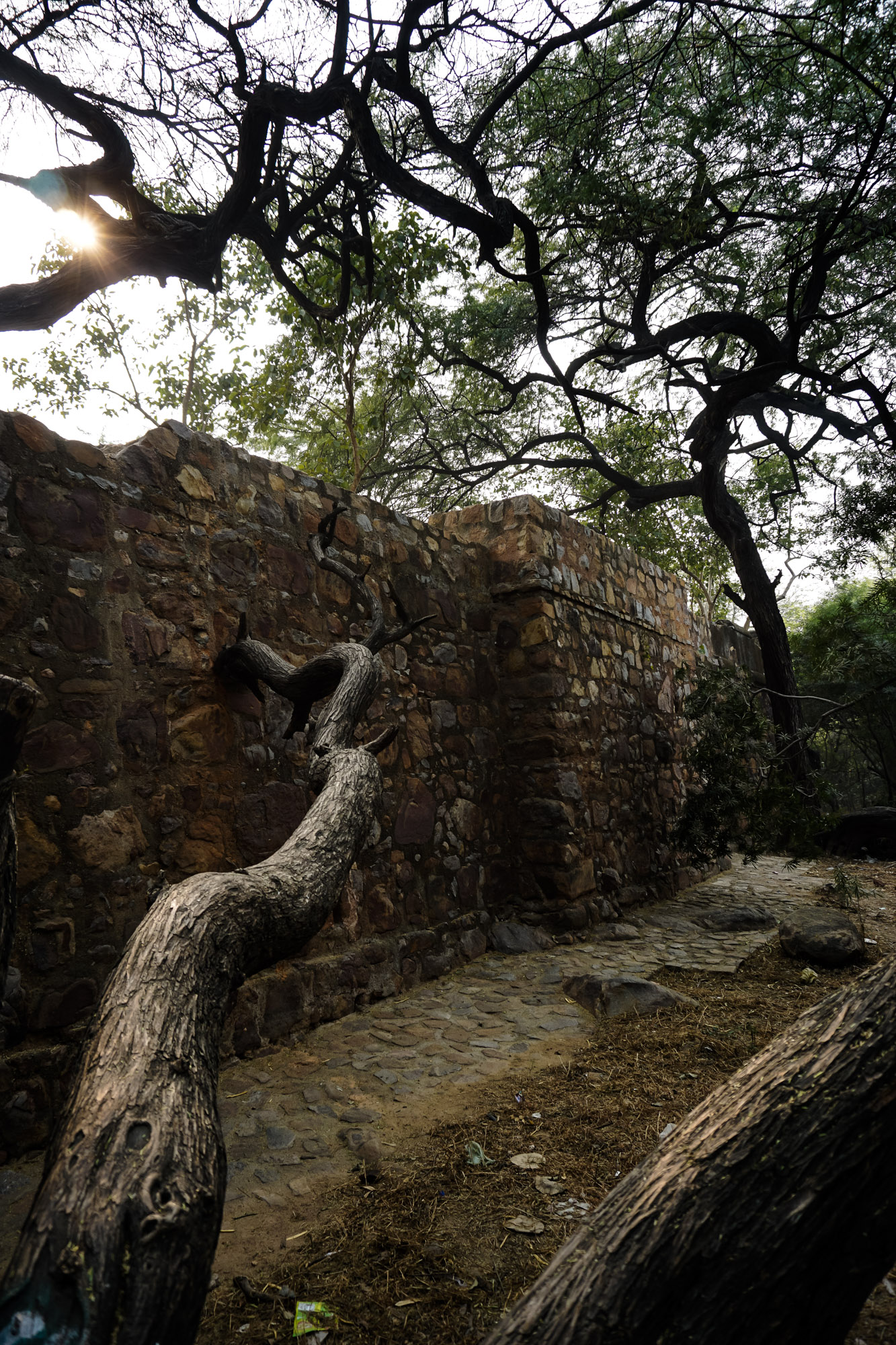 Bhuli Bhatiyari ka Mahal: Haunted Ruin in Delhi, India - Amy's Crypt