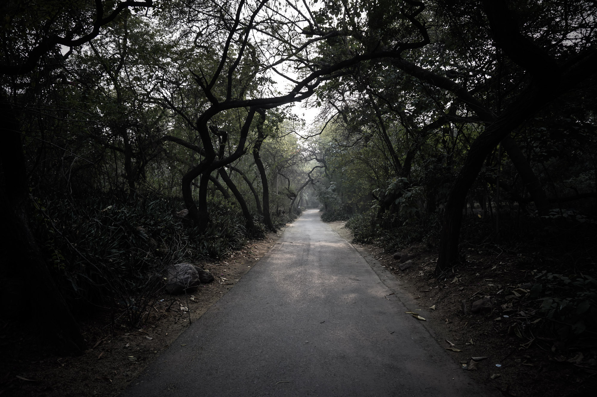 Bhuli Bhatiyari ka Mahal: Haunted Ruin in Delhi, India - Amy's Crypt