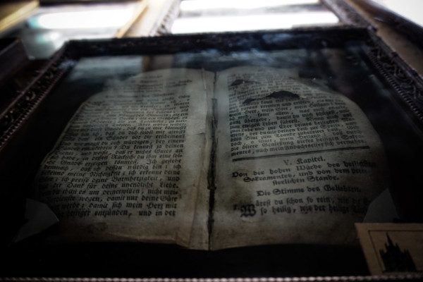 Ghosts of the Colosseum: Most Haunted Place in Rome - Amy's Crypt