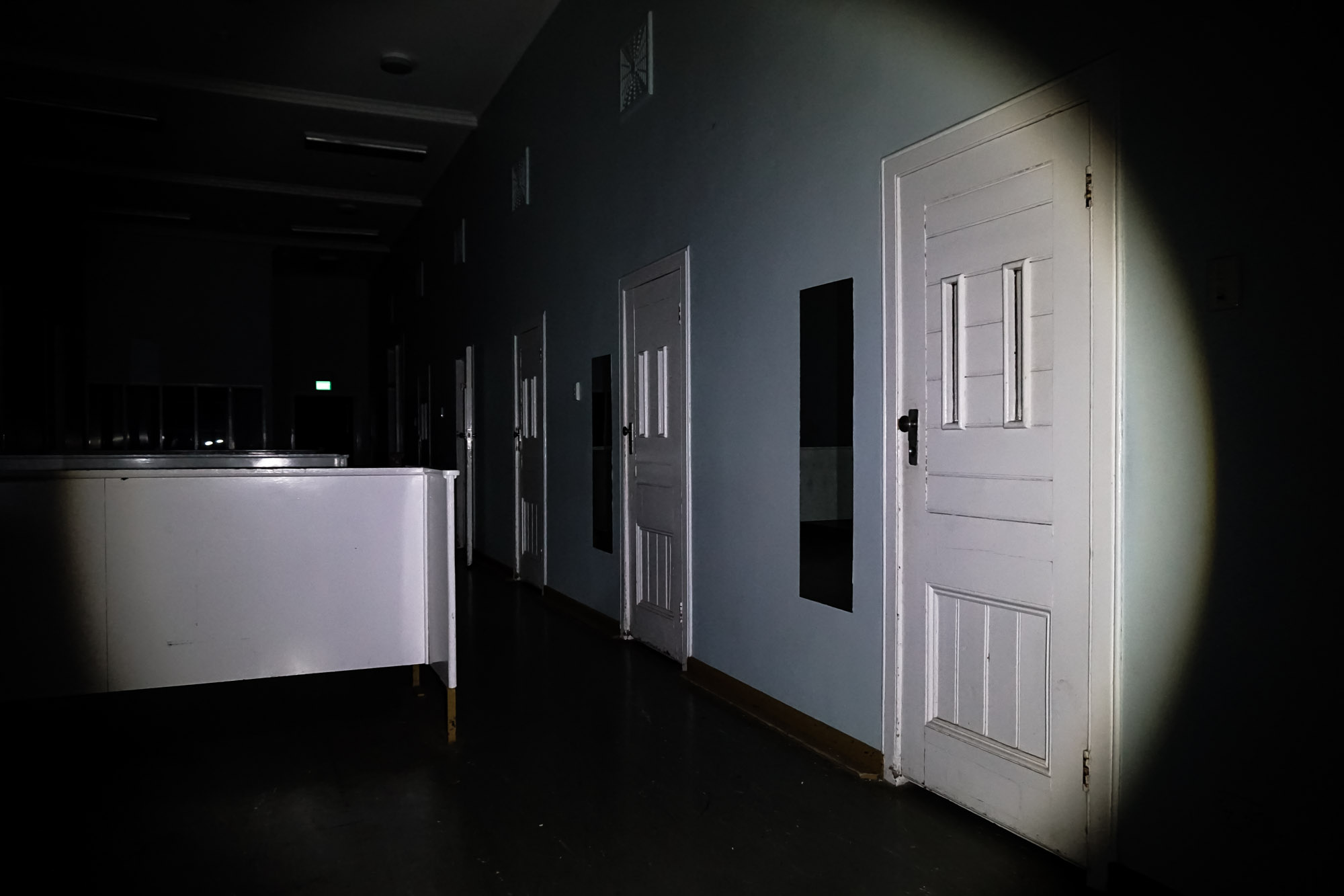 Aradale Mental Hospital: Australia's Most Haunted Asylum - Amy's Crypt