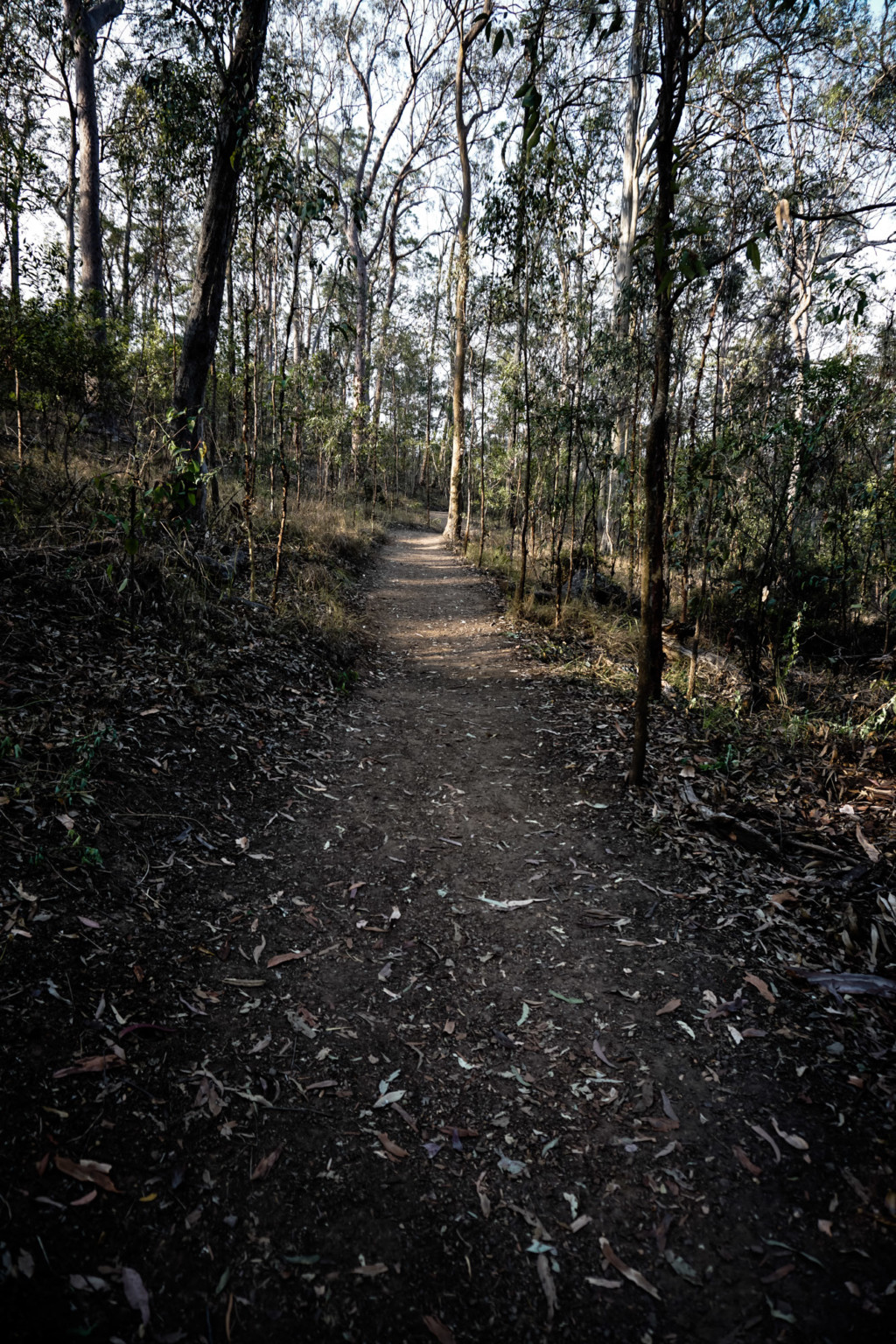 Ghost Hole Mine: Haunted Mount Coot-Tha, Queensland - Amy's Crypt