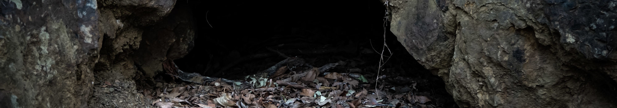 Ghost Hole Mine: Haunted Mount Coot-Tha, Queensland - Amy's Crypt