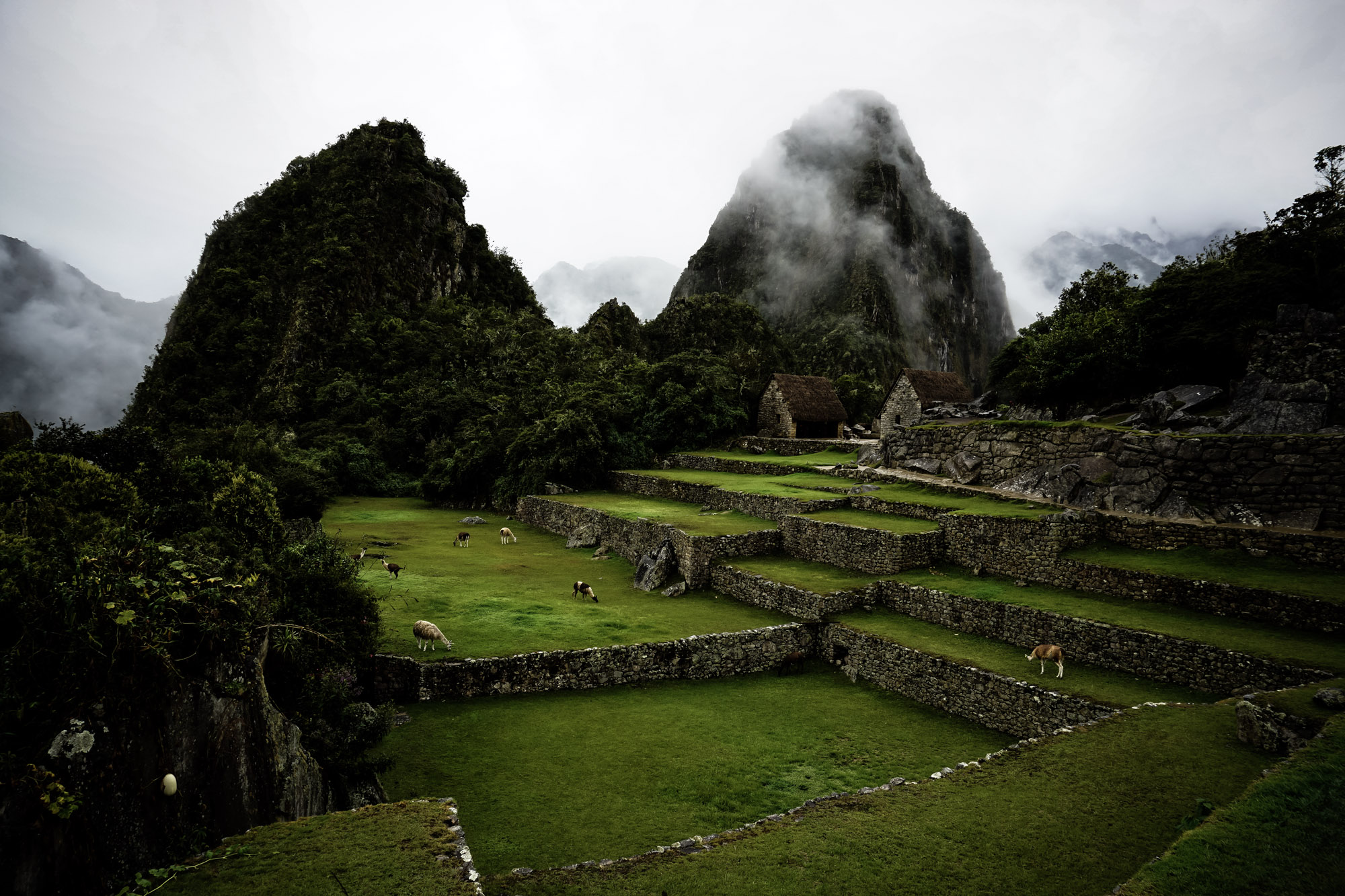 Ghosts of Machu Picchu: Ancient Haunted Ruins - Amy's Crypt