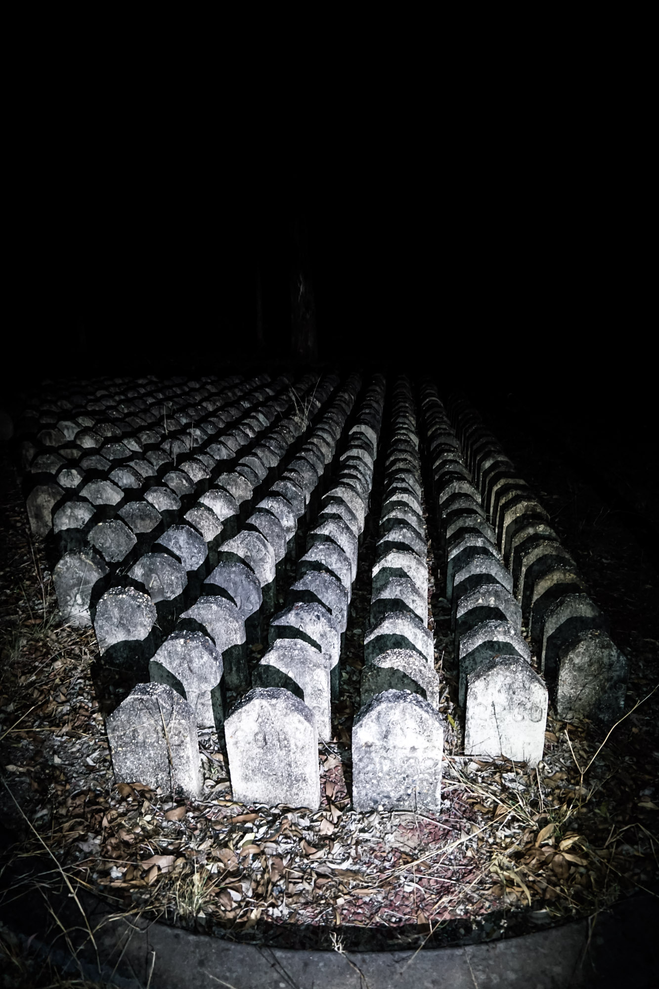 Ghosts of Goodna Cemetery: Haunted Queensland - Amy's Crypt