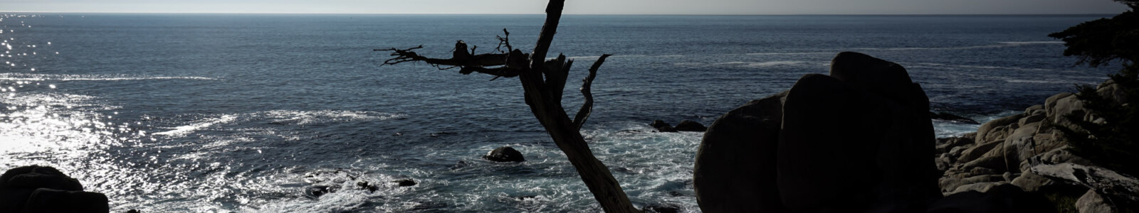 Haunted Places in Monterey - Amy's Crypt