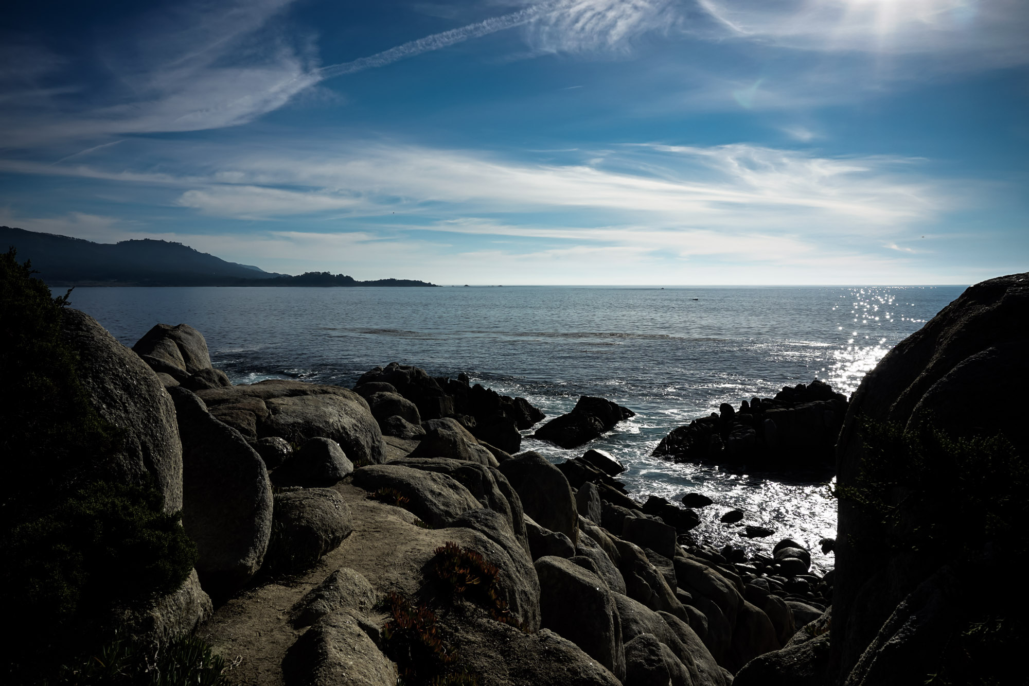 The Ghost Tree of 17 Mile Drive, California - Amy's Crypt