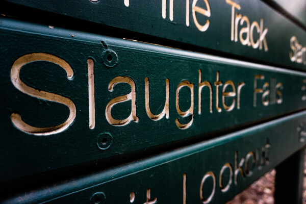 Slaughter Falls: Queensland's Haunted Hiking Trail - Amy's Crypt