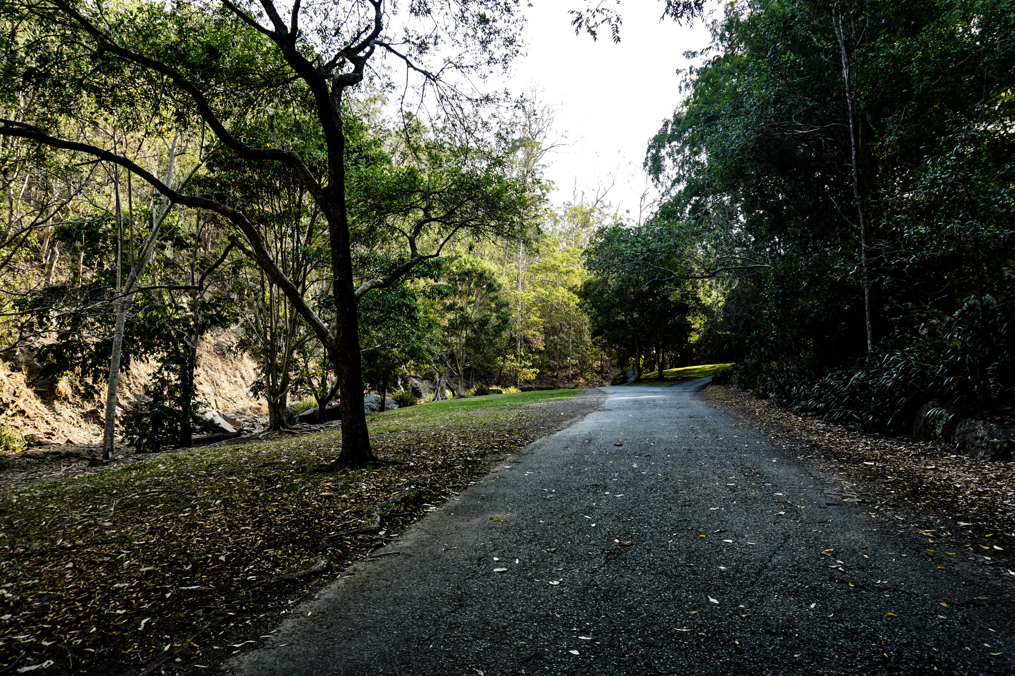 Slaughter Falls: Queensland's Haunted Hiking Trail - Amy's Crypt