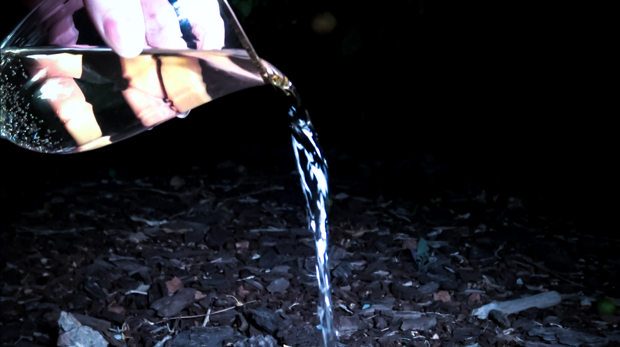 How to Play the Picture Game: Scary Paranormal Ritual - Amy's Crypt