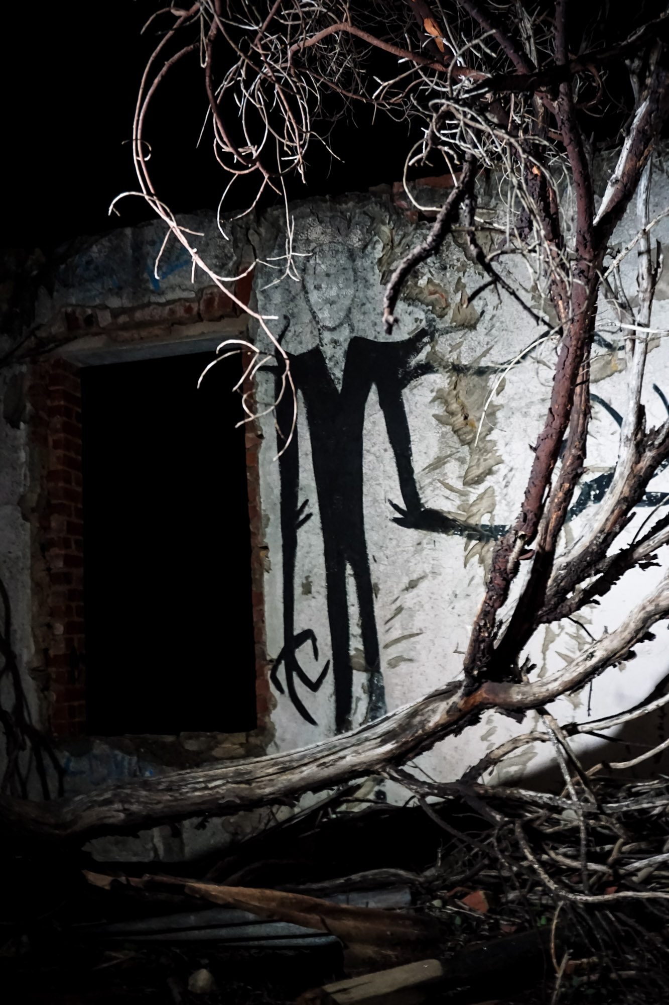 Ghost Stories of the Most Haunted Houses - Amy's Crypt