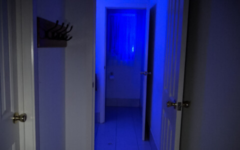 Paranormal Games - Amy's Crypt