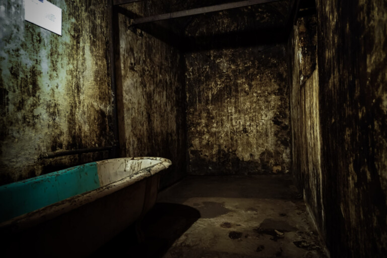 Haunted J Ward: Former Prison and Asylum - Amy's Crypt