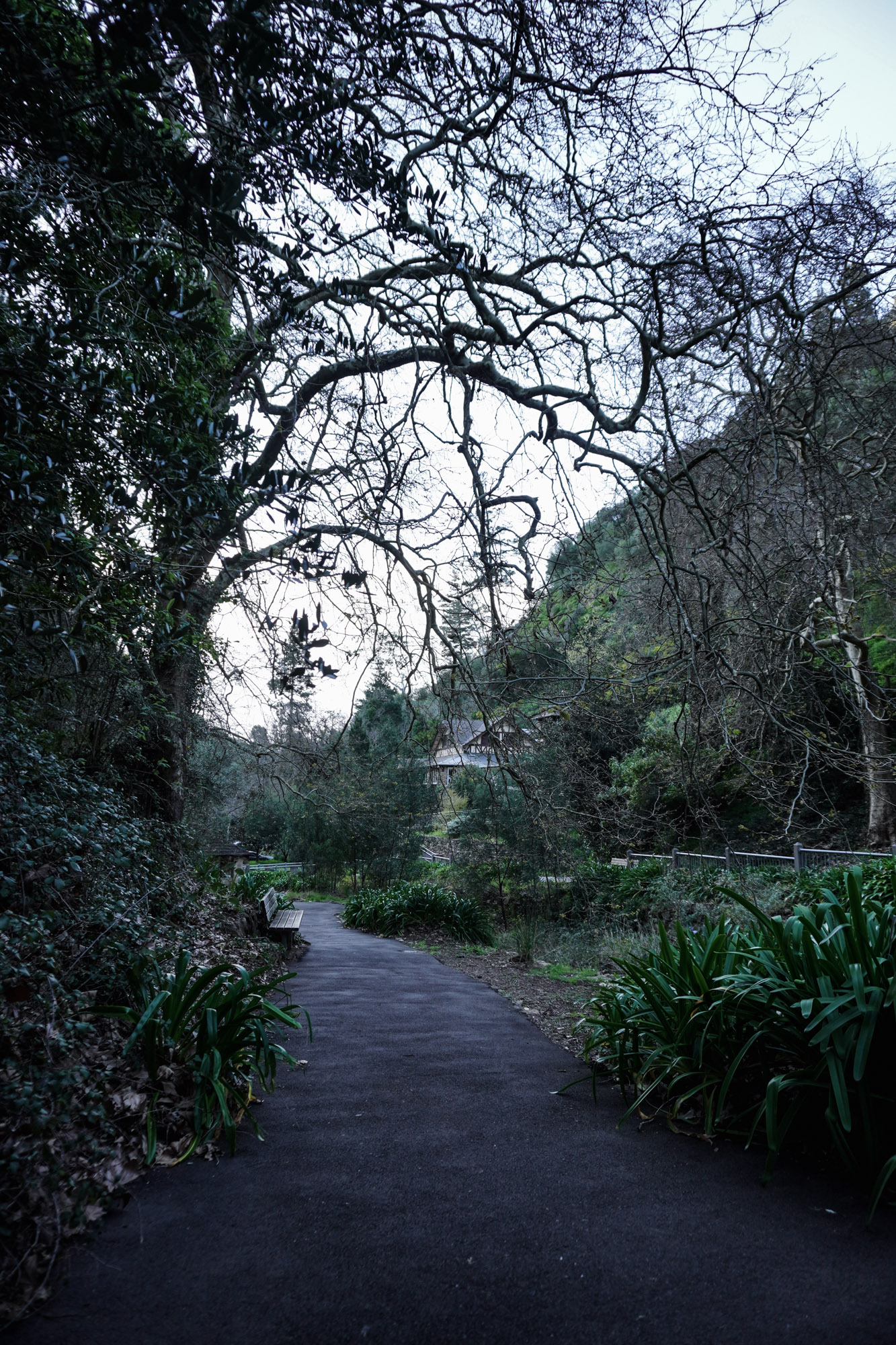 The Ghost of Waterfall Gully: Haunted South Australia - Amy's Crypt