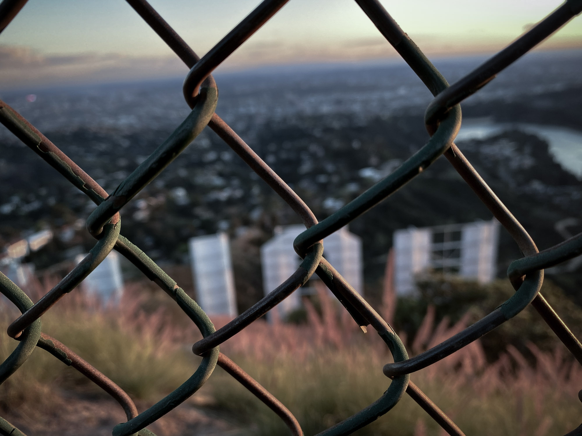 Hollywood Sign’s Haunting: Ghost of Peg Entwistle - Amy's Crypt