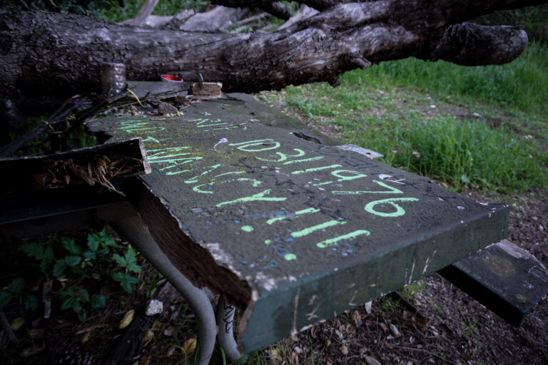 Haunted Picnic Table 29 of Griffith Park - Amy's Crypt
