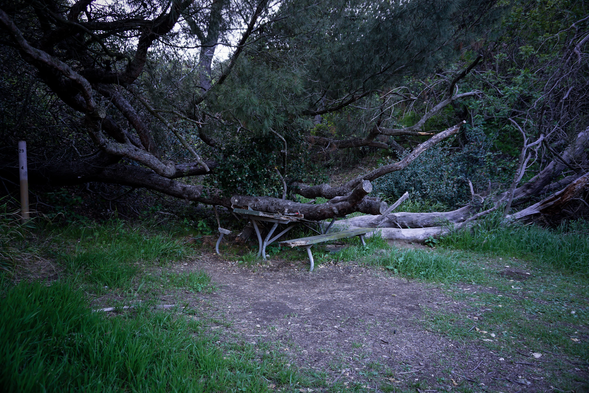 Haunted Picnic Table 29 of Griffith Park - Amy's Crypt