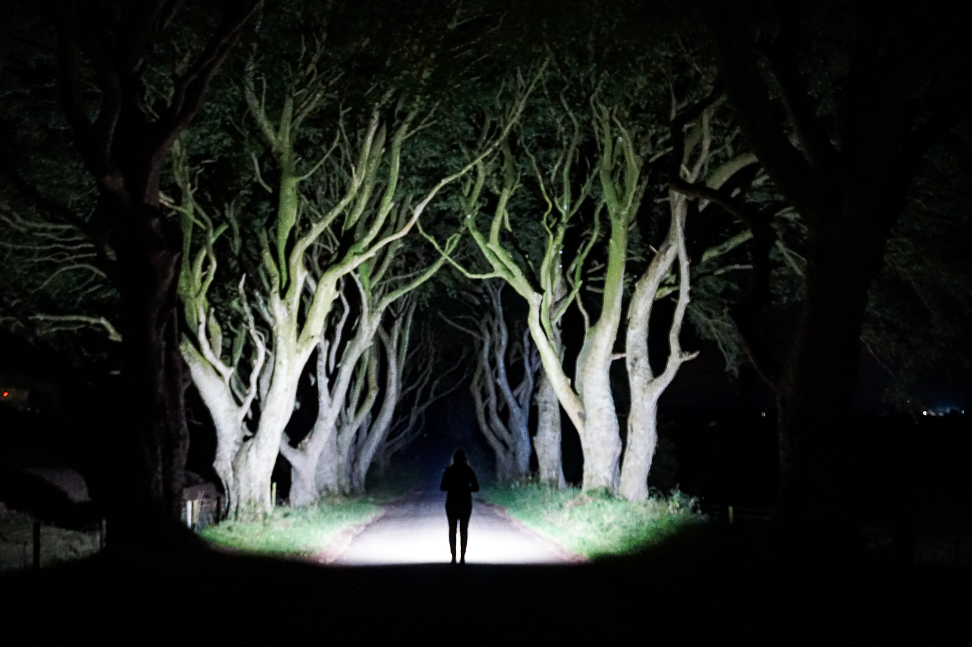 Does the Grey Lady haunt the Dark Hedges? - Amy's Crypt