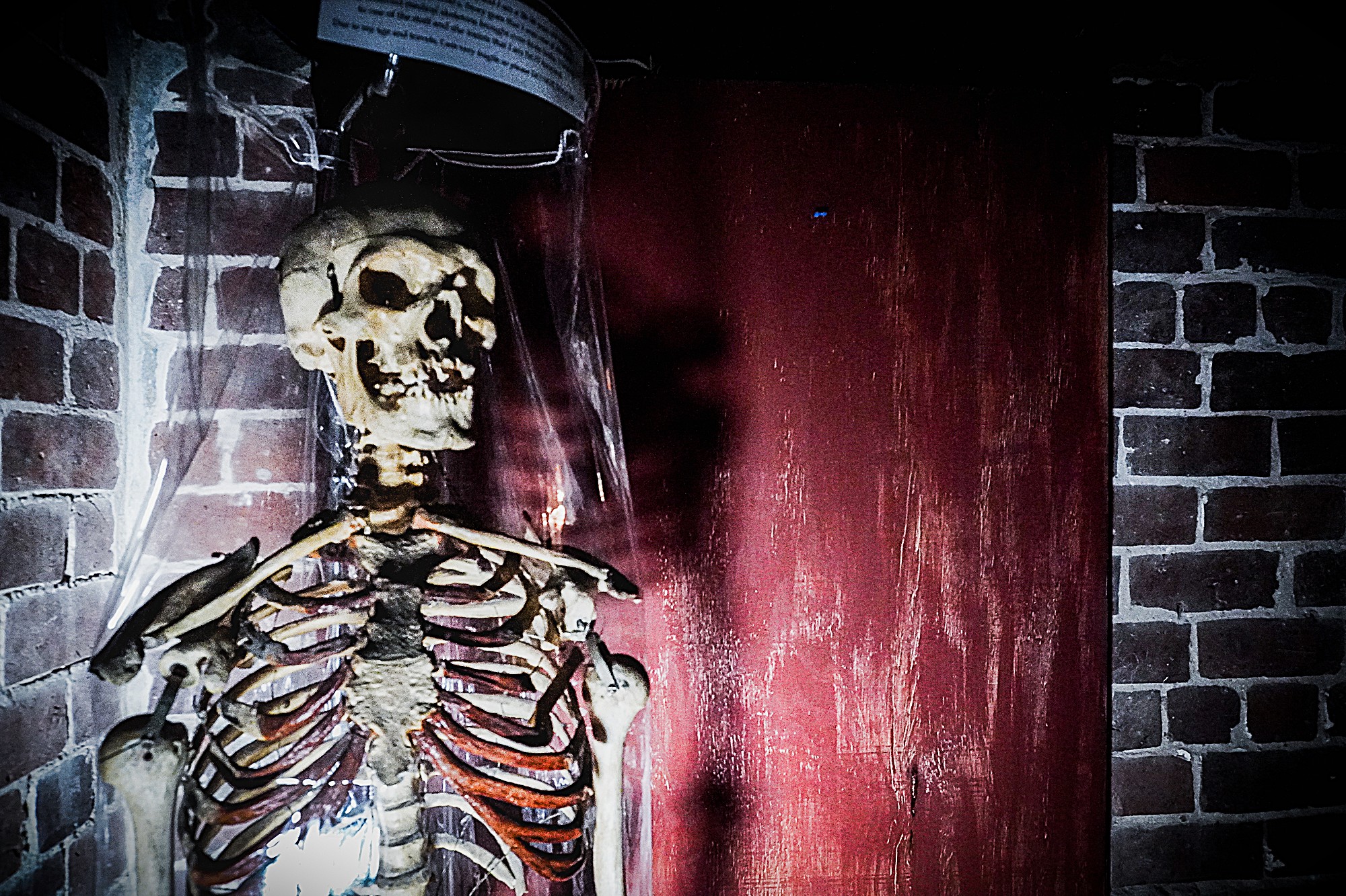 Sorrel Weed House - A Legacy of Tragedy and Heartbreak - Amy's Crypt